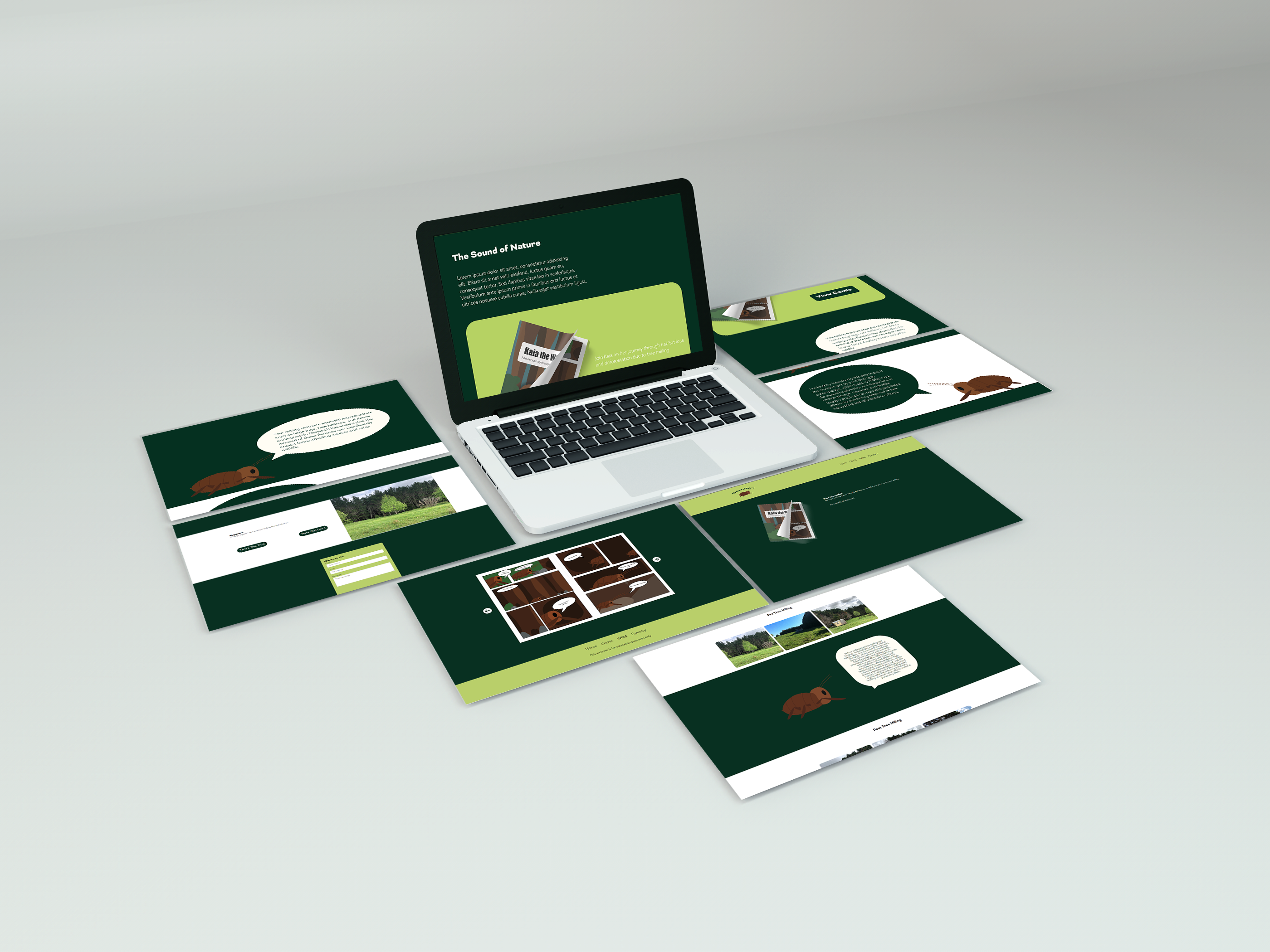 Projects – Els Studio