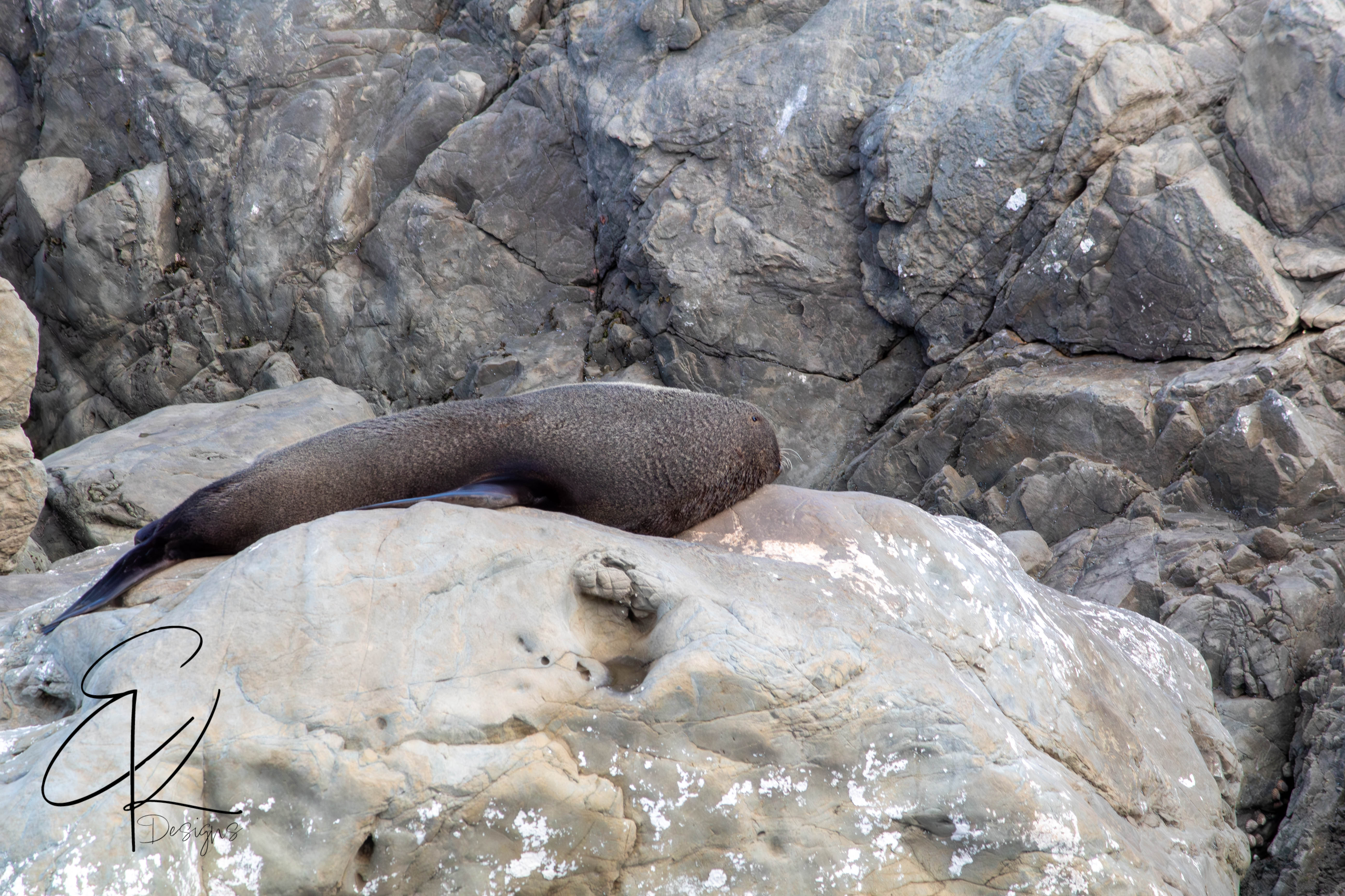 Photograpghy – Els Studio